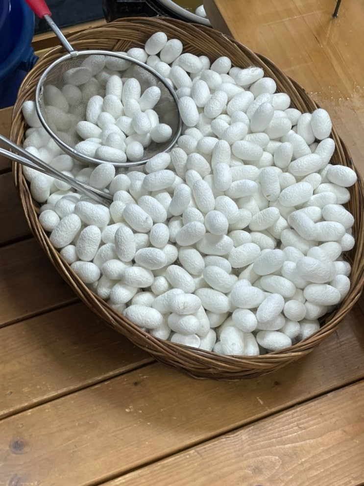 기대이상으로 좋았던, 경주시티투어 동해안투어시작 ! (경주전통명주전시관, 명주작업관) : 네이버 블로그