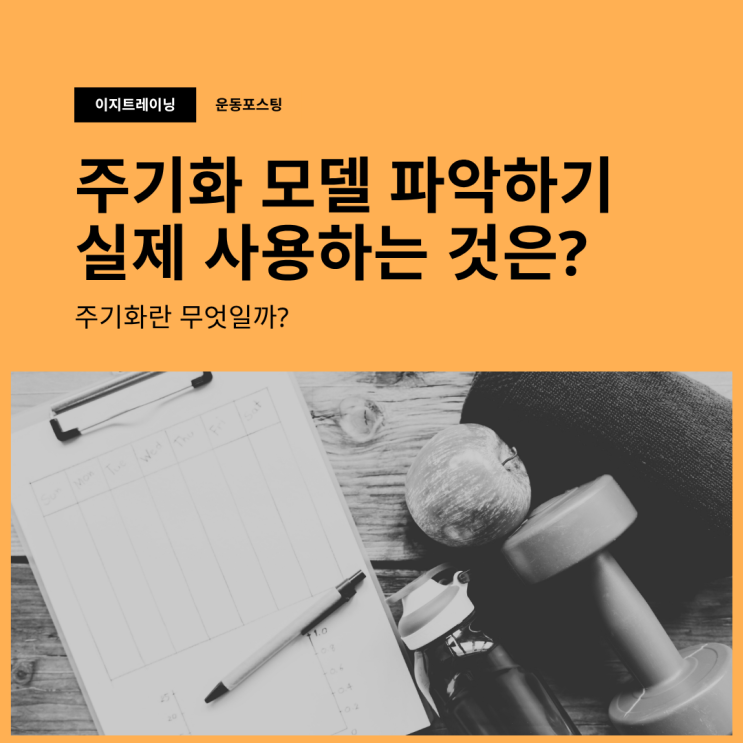 트레이닝 주기화 모델 : 네이버 블로그