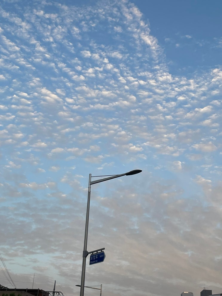 [블챌] 10월 3주차 (브루클린버거더조인트, 티원, 10·15 대책) : 네이버 블로그