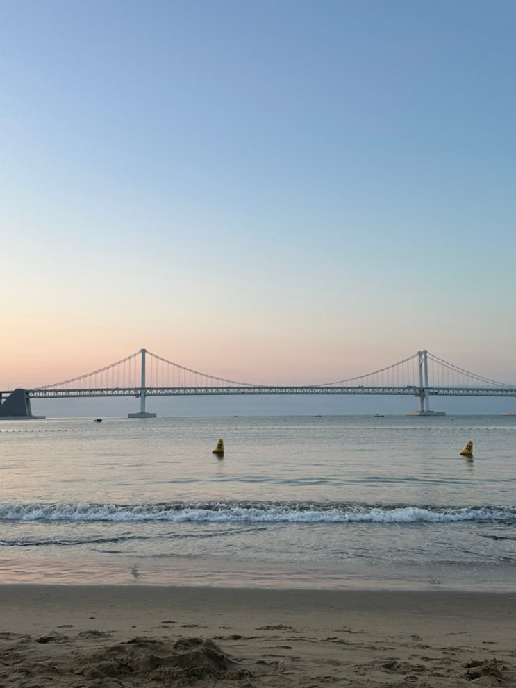 2025 부산 모음집 : 네이버 블로그