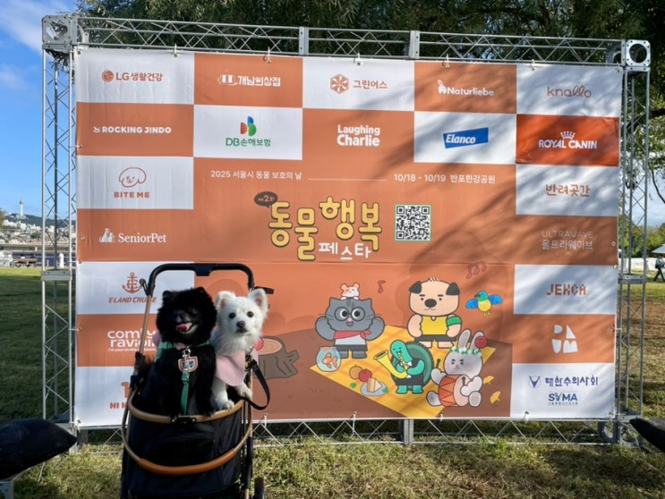 제2회 동물행복페스타 200% 즐기기 : 네이버 블로그