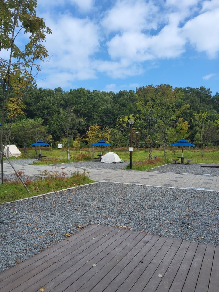 [캠핑]하기숲캠핑장-대전캠핑장, 피크닉캠핑, 가족캠핑 추천 : 네이버 블로그