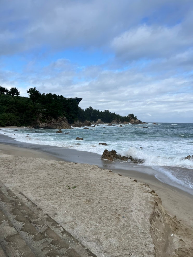 [캠핑] 강원도 삼척 장호비치 캠핑장 C7 1박 2일 후기 : 네이버 블로그