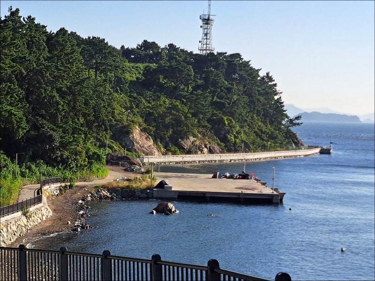 원전항 실리섬 캠핑 낚시 : 네이버 블로그