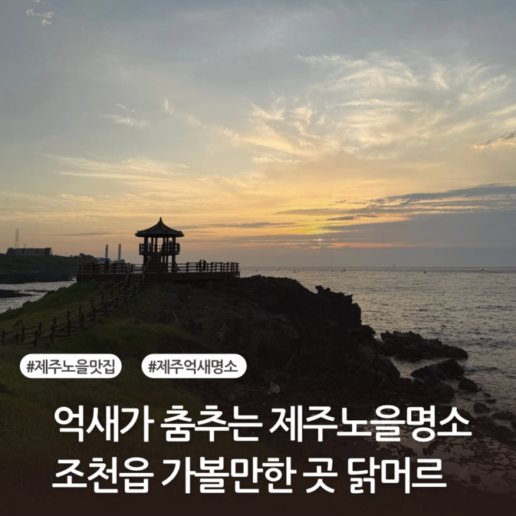 제주가을여행 코스 억새가 춤추는 노을 명소 닭머르 조천읍 가볼만한 곳 : 네이버 블로그