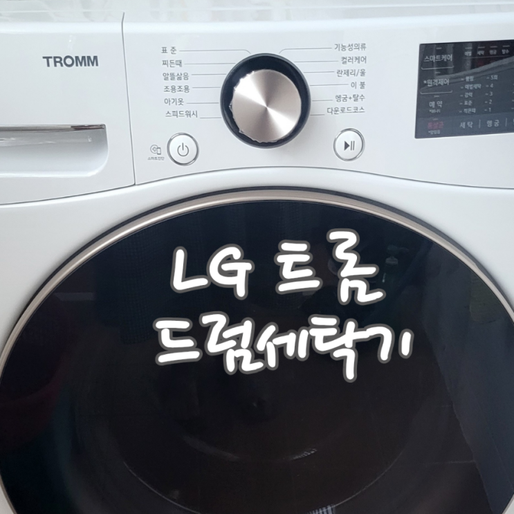 LG 트롬 F19WDLP 화이트 F19WDWP 19kg 대용량 가성비 70만원대 드럼 세탁기 : 네이버 블로그