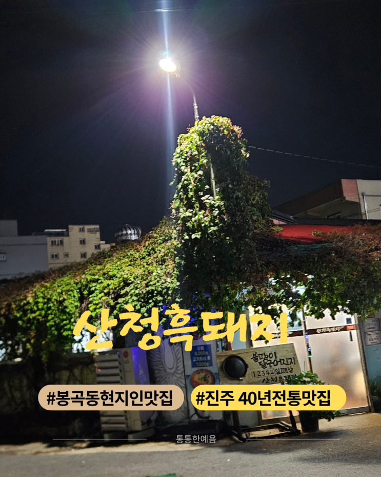 진주 봉곡동 로컬맛집 "산청흑돼지" 고소한 흑돼지 삼겹살에 막국수까지, 완벽한 꿀조합! : 네이버 블로그