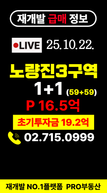 (공동중개 가능) 노량진3구역 1+1매물 P16.5억 초기투자금19.2억 : 네이버 블로그