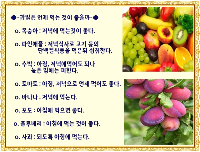과일은 언제 먹는것이 좋을까 : 네이버 블로그