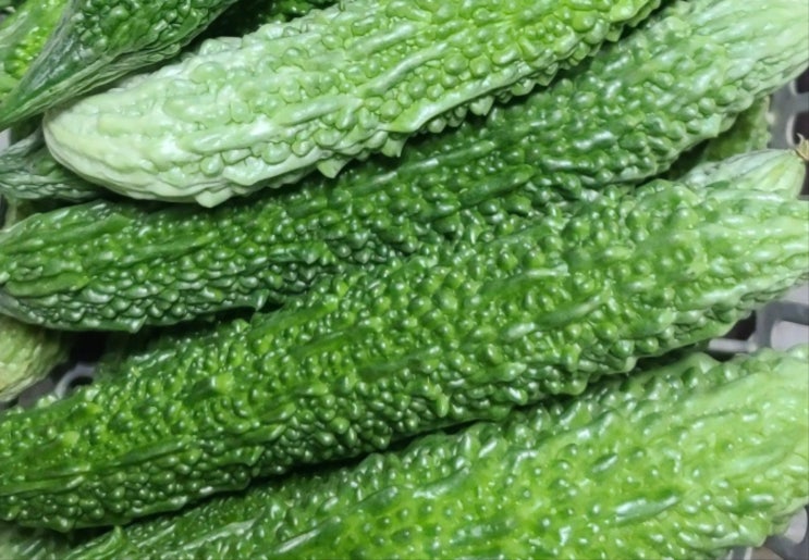 건강의 적신호, 당뇨관리에 도움 되는 여주 분말 : 네이버 블로그