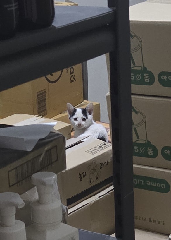 우당탕탕 하루 : 네이버 블로그