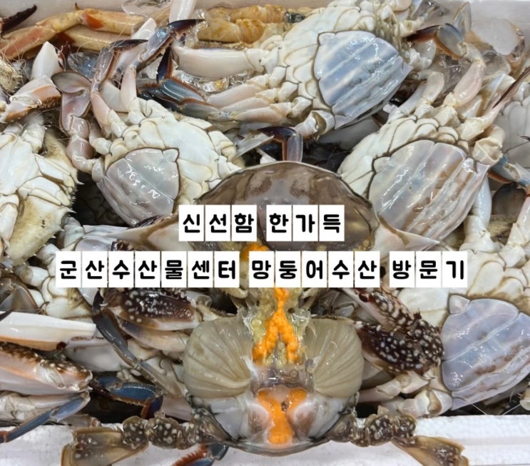 군산 먹거리 여행 필수코스 군산수산물센터 방문후기 망둥어수산 : 네이버 블로그