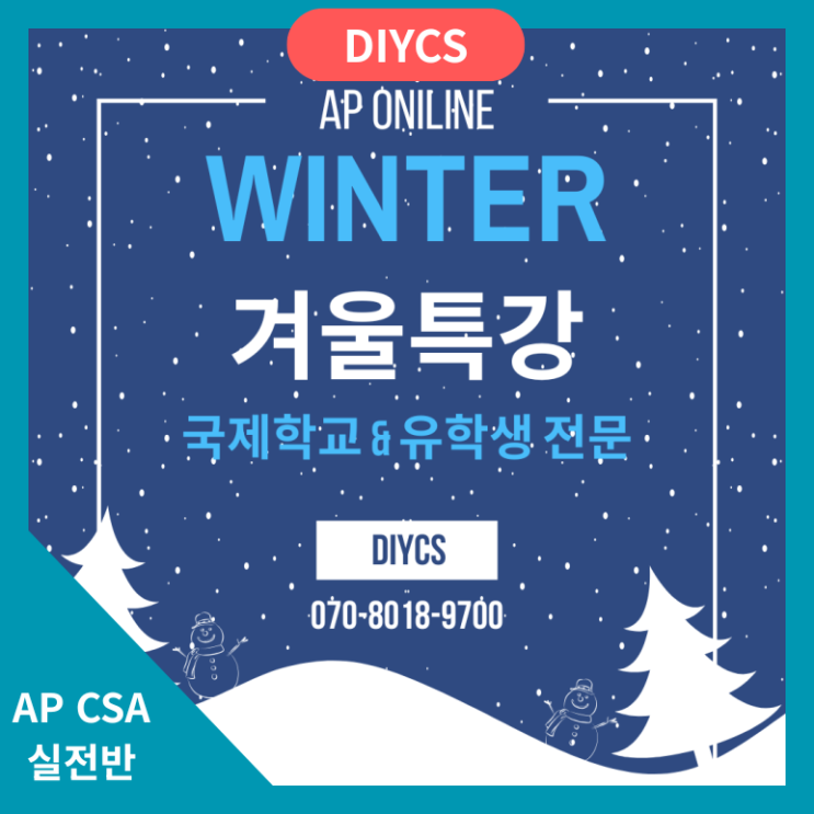 | AP CSA 2026 겨울방학특강 오픈 문제풀이 실전반 | DIYCS코딩 : 네이버 블로그