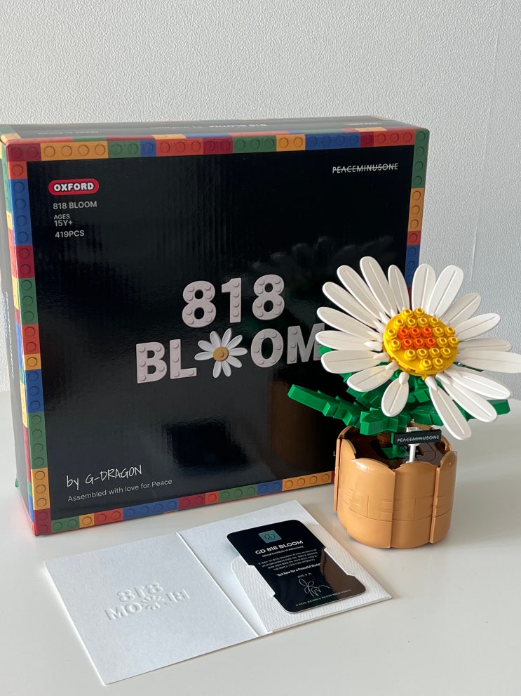 지드래곤 블록 818 BLOOM 옥스포드 피스마이너스원 : 네이버 블로그