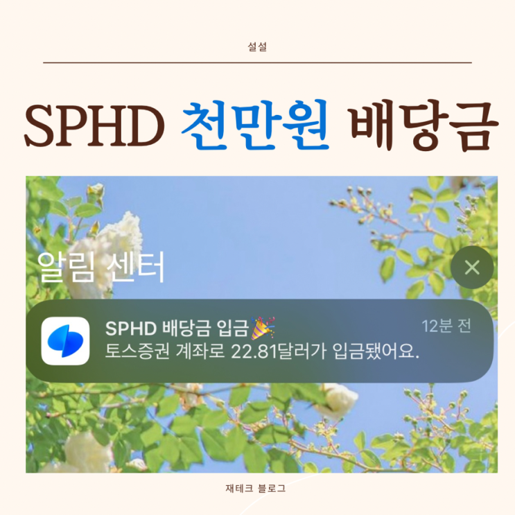 SPHD에 1000만원 매수 시 월배당금은? : 네이버 블로그