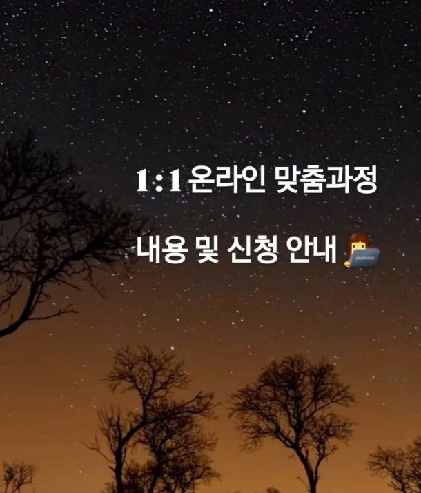 [OPIc] 극 I도 가능한 1:1 온라인 맞춤수업 안내🍀_ 이렇게 진행됩니다｜목표점수 달성까지 : 네이버 블로그