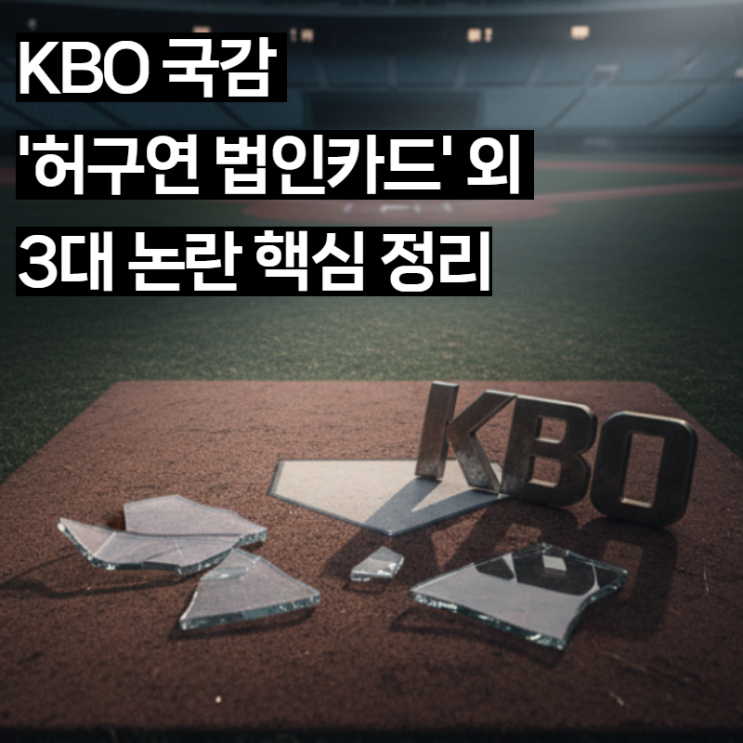 [단독 분석] KBO 국감 '허구연 법인카드' 외 3대 논란 핵심 정리 (팬들이 꼭 알아야 할 팩트체크) : 네이버 블로그
