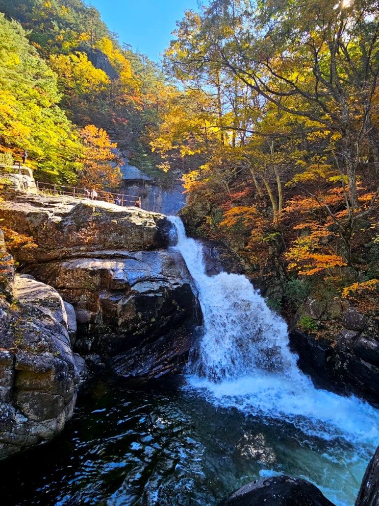 오대산 소금강에서 구룡폭포 여행 및 단풍현재상황 : 네이버 블로그