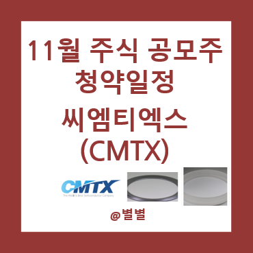식각(에칭) 공정 반도체소재관련주 씨엠티엑스(CMTX)주식 11월 공모주 청약 일정은? : 네이버 블로그