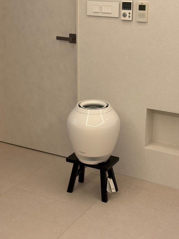 발뮤다 가습기 후기 : 네이버 블로그