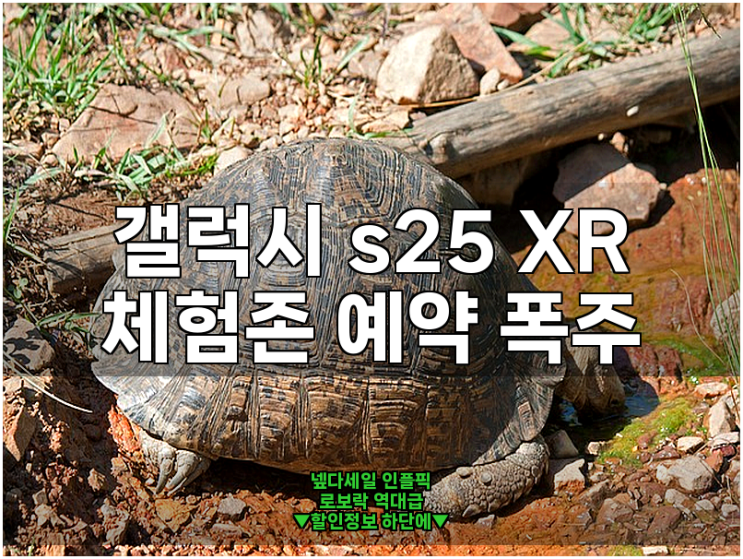 갤럭시 s25 XR 체험존 예약 폭주 : 네이버 블로그