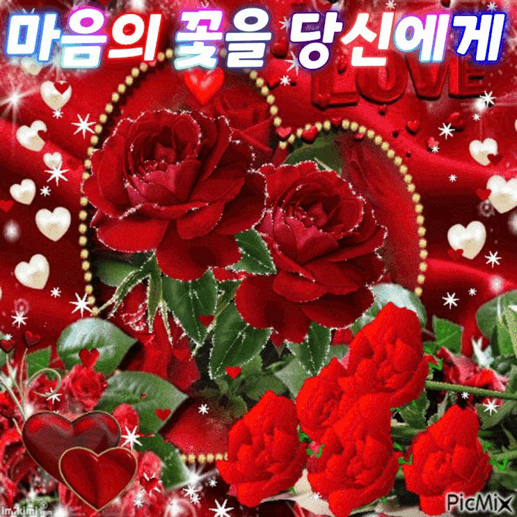 마음의 꽃을 당신에게 : 네이버 블로그