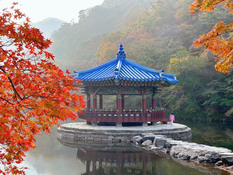 정읍여행 내장산 국립공원 등산 코스 단풍 케이블카 : 네이버 블로그