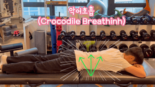 코어근육 활성화 및 올바른 호흡방법을 재교육을 위한 악어호흡(Crocodile Breathing)(feat.복식호흡, 횡경막호흡 ...