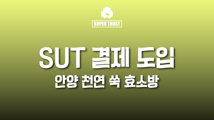 SUT 결제 가능 등록! 안양 천연 쑥 효소방 : 네이버 블로그