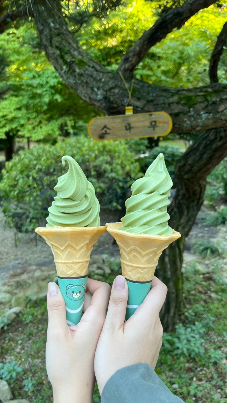 SK렌터카 빌려서 서울-전남 보성 1박 2일 여행 후기 (순천 한스푼 추가요~) : 네이버 블로그