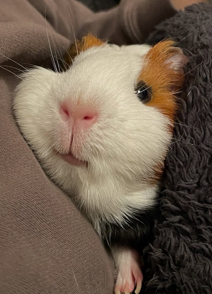 47회 ADSP 시험 후기 난이도 답안 복기 점수발표 : 네이버 블로그