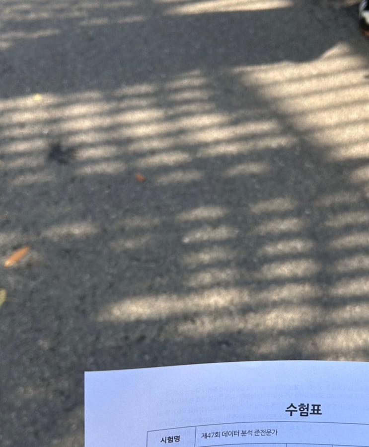 47회 ADsP 시험후기/고사장 확인/유의사항(사실상지난일주일은이걸위한그림자였을뿐) : 네이버 블로그