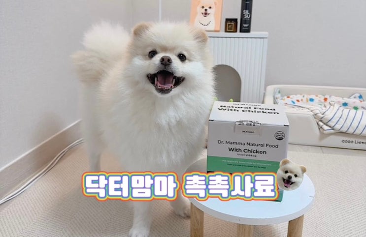 [ 강아지 화식 ] 닥터맘마 촉촉사료 닭 : 네이버 블로그