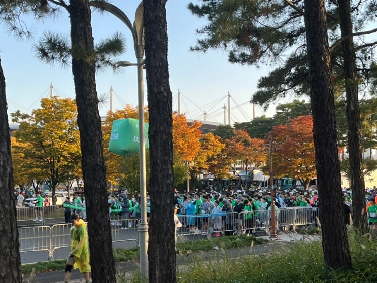 2025 JTBC 마라톤 제마 10K 출발시간 D그룹 병목 솔직 후기 : 네이버 블로그
