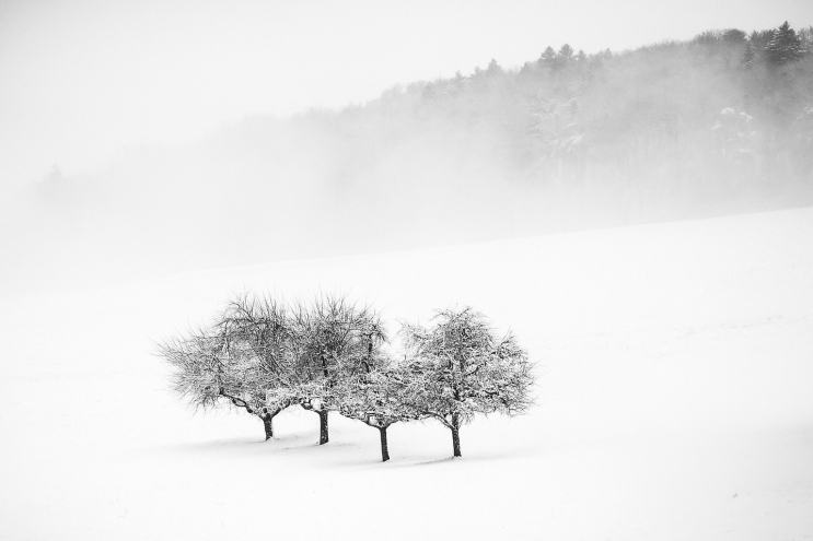 삼성전기 주가 : FC-BGA와 MLCC의 수익개선 분석 : 네이버 블로그