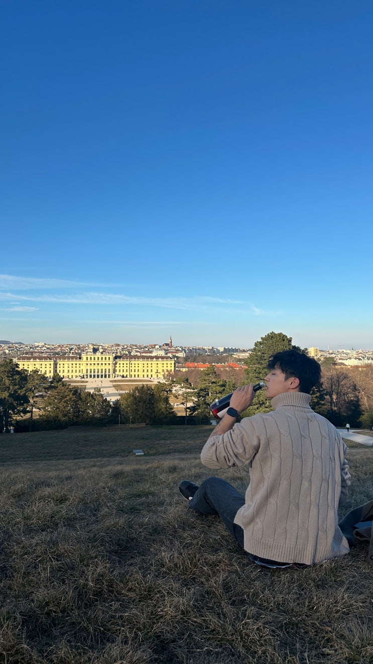 [2025.03] 비엔나 마무리_벨베데레, 쇤부른_가이드투어 추천 : 네이버 블로그