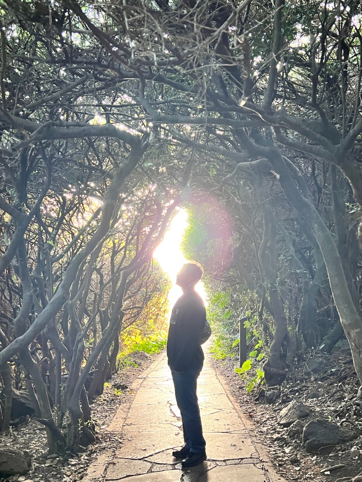 1박 2일 제주 여행 첫째 날 : 네이버 블로그