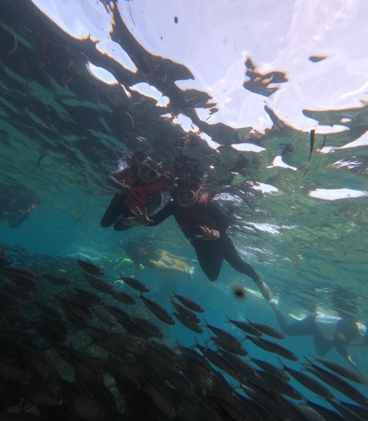 보홀 여행 중 빼놓을 수 없는 나팔링 투어:Napaling Reef, 히낙다난 동굴 : 네이버 블로그