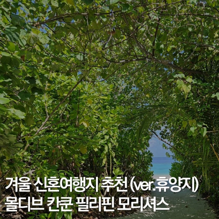 겨울 신혼여행지 휴양지 추천: 몰디브 칸쿤 필리핀 모리셔스 : 네이버 블로그
