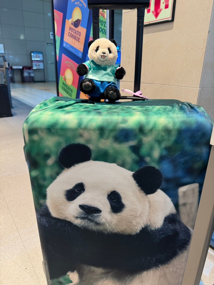 [여행일기]2025.10.22 대만. -디화제 : 네이버 블로그