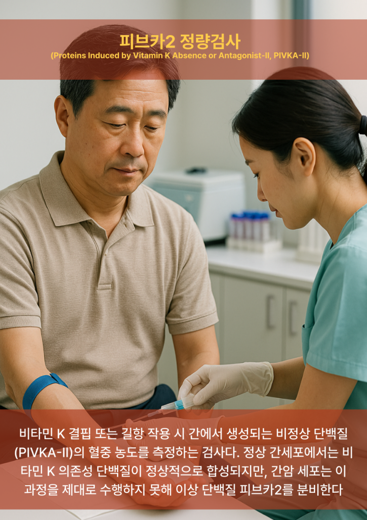 간암 표지자 검사 완전 가이드 – 피브카2(PIVKA-II)와 AFP 차이점 : 네이버 블로그