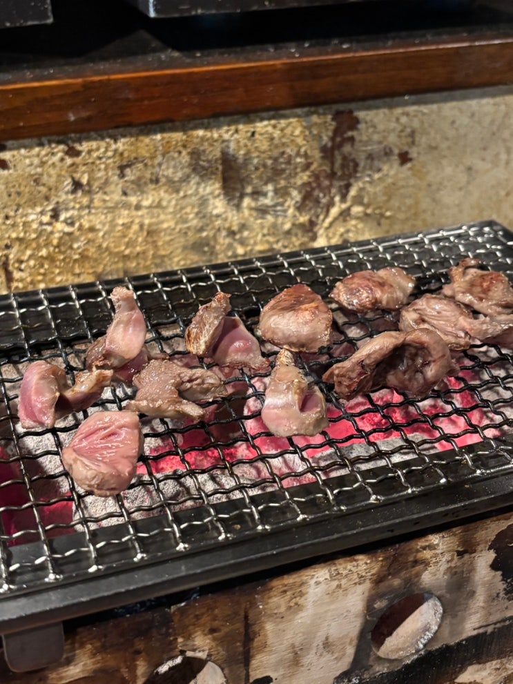 [일본여행] 교토 야키토리 OICHO, '닭고기가 이렇게 맛있다고?' 심장, 똥집, 맥주까지 완벽한 내돈내산 찐맛집 추천 ...