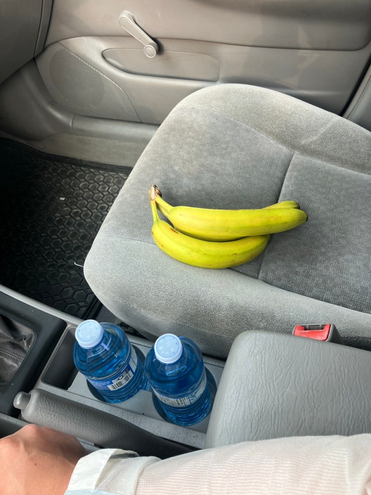 [ D + 141 ~ 147 ] 내 사랑 Drumheller : 네이버 블로그