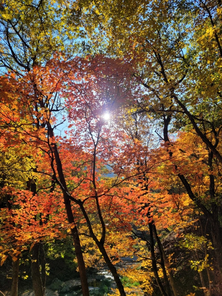 251104 경상북도 청송 주왕산 국립공원 : 네이버 블로그