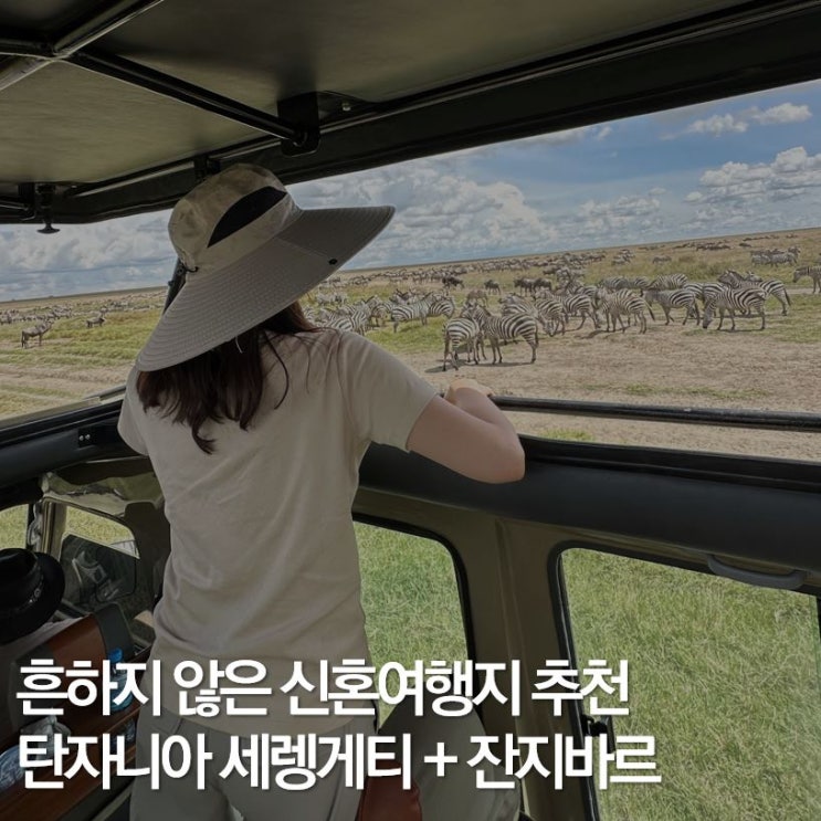 흔하지 않은 신혼여행지 추천 탄자니아 세렝게티 잔지바르 비용 경비 : 네이버 블로그