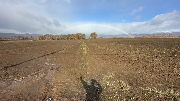 251103 : 네이버 블로그