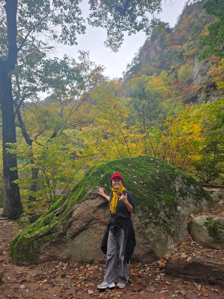 [설악오색2510] 리필킹 곰취식당/the most memorable walk at 가을 설악산 : 네이버 블로그