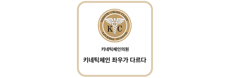 키네틱체인, 뉴만의 Kinematic Chains: OKC vs CKC : 네이버 블로그
