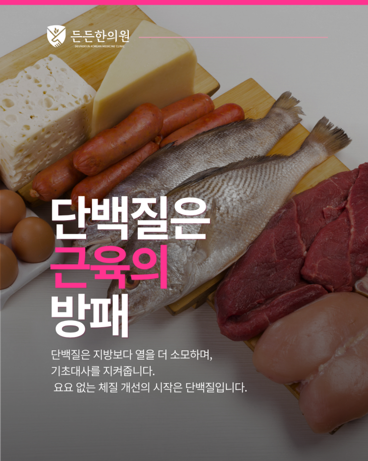 수택동 한의원 고단백 음식 다이어트, 근육 지키고 지방만 줄일까 : 네이버 블로그