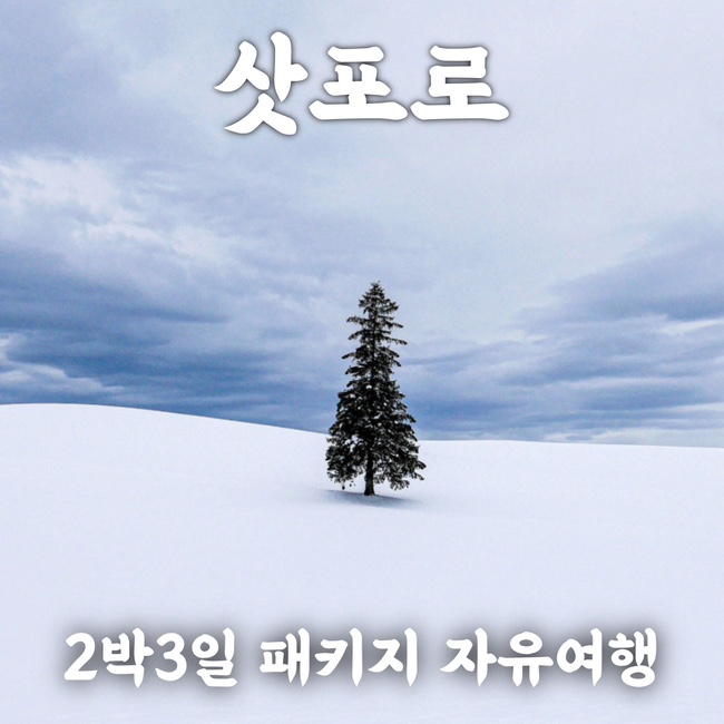 삿포로 겨울여행 ㅣ2박3일 패키지 "1인 70만원대" 최저가 예약 후기 : 네이버 블로그